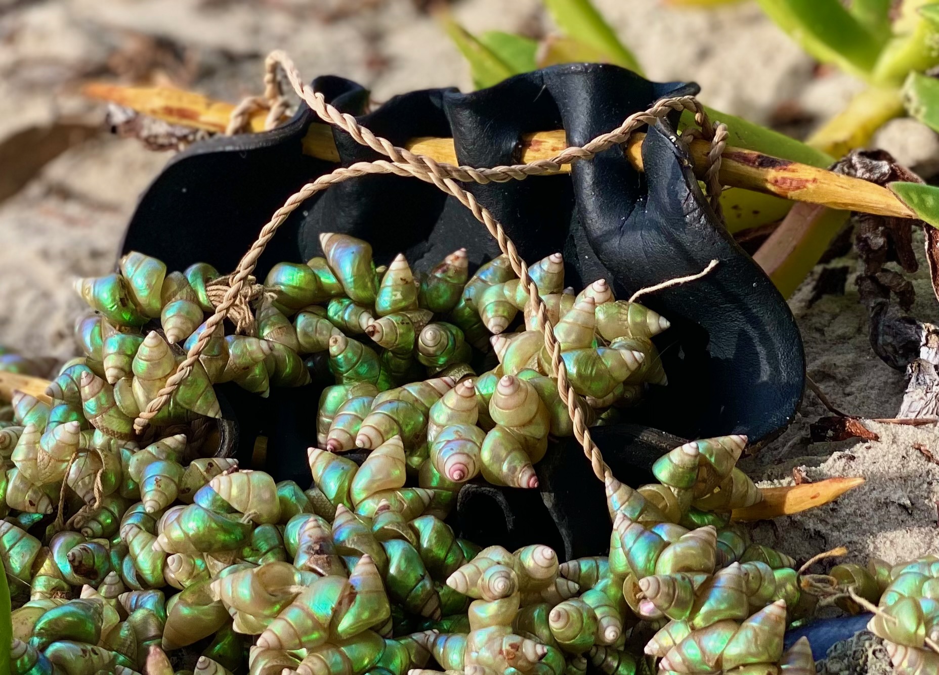 Events - Palawa Business Hub